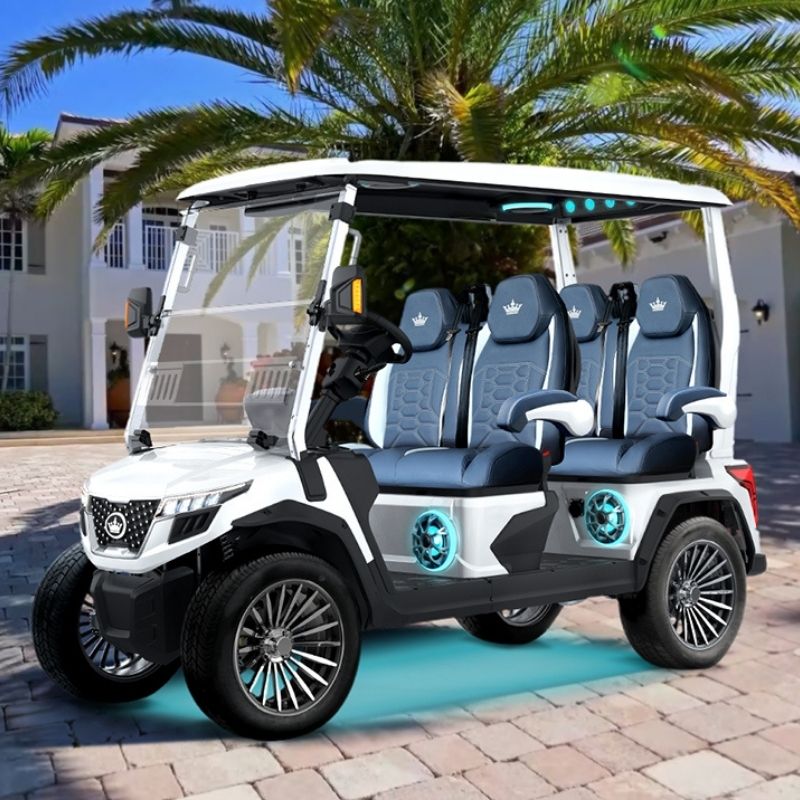 EVOLUTION NEV - Neighborhood Electric Vehicles